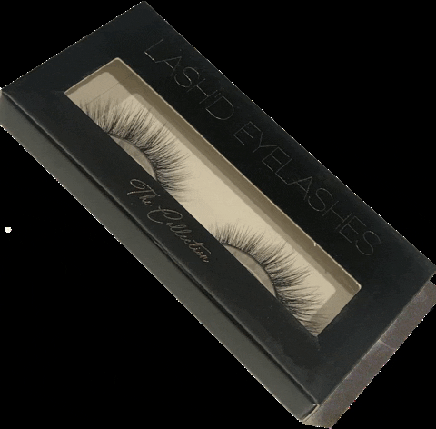 Lashes Lashd GIF by Lash'd Eyelashes - Find & Share on GIPHY