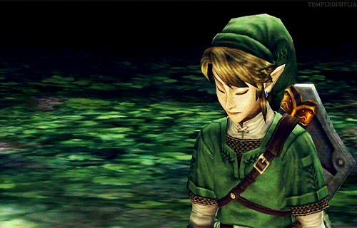The Legend Of Zelda Link GIF - Find & Share on GIPHY