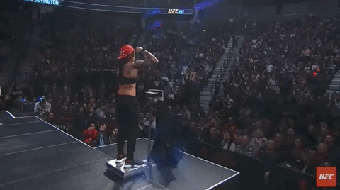 GIF by UFC - Find & Share on GIPHY