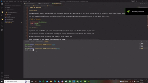 GitHub - Dannyb0o0y/Professional-README-Generator
