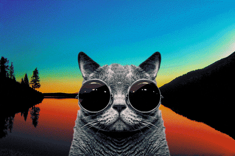 Animated Gif Find Share On Giphy