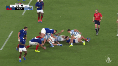 World Rugby Sport GIF by Rugby World Cup - Find & Share on GIPHY
