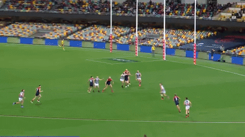 Mark Afl GIF by Port Adelaide FC - Find & Share on GIPHY