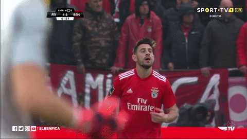 Sl Benfica Smile GIF by Sport Lisboa e Benfica - Find & Share on GIPHY