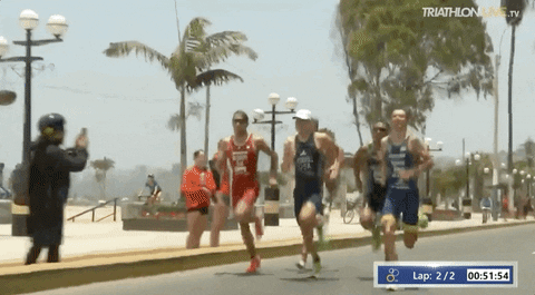 GIF by WorldTriathlon - Find & Share on GIPHY