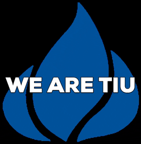 TIU Florida GIF - Find & Share on GIPHY