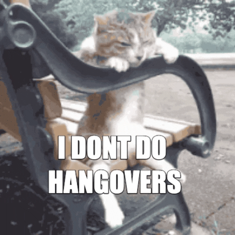 Meme Monday GIF by Woov - Find & Share on GIPHY