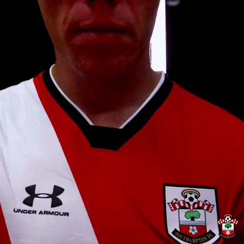 Premier League Football GIF by Southampton FC - Find & Share on GIPHY