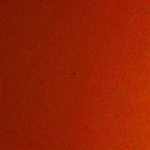 Stop Motion Animation GIF by Scott Gelber - Find & Share on GIPHY