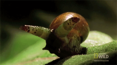 Society doesnt need this : r/CrappyDesign