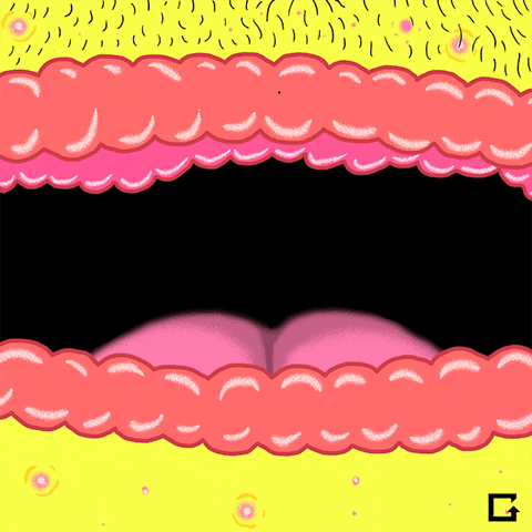 Teeth Stem Cells Gif By gif - Find & Share on GIPHY