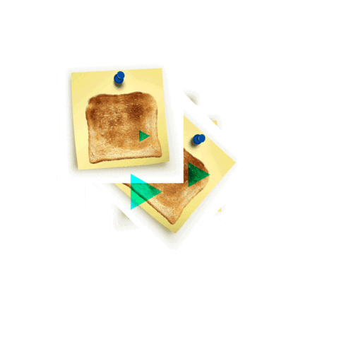 Transparent Gif Sticker Find Share On Giphy