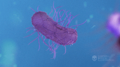 The Cell GIF - Find & Share on GIPHY