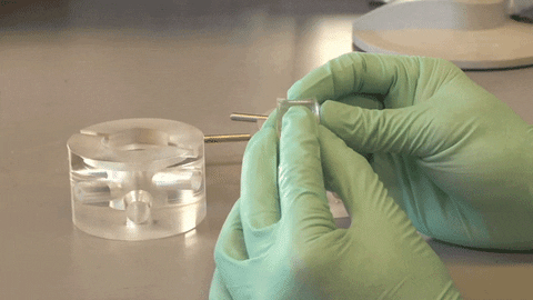 Bone GIF by TED - Find & Share on GIPHY