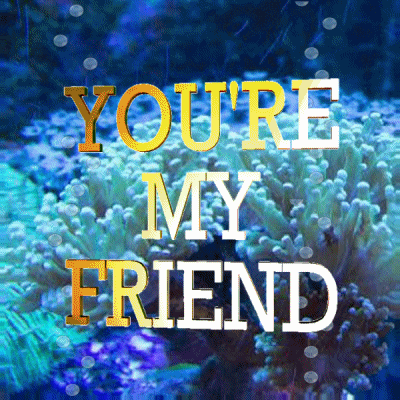 Best Friends Friend GIF - Find & Share on GIPHY