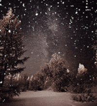 Snow Fall GIFs - Get the best GIF on GIPHY