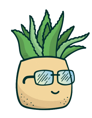 Aloe Vera Illustration Sticker for iOS & Android | GIPHY