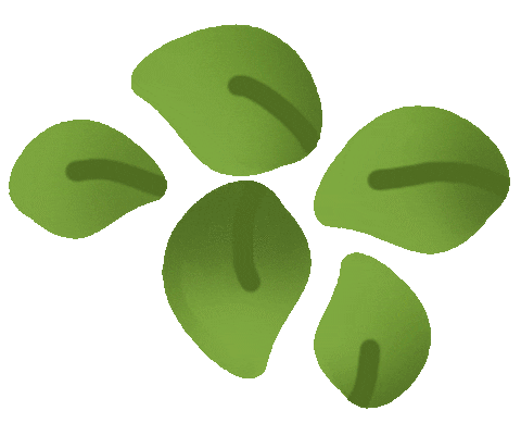 Spinach Pizzatopping Sticker by Jet's Pizza for iOS & Android | GIPHY