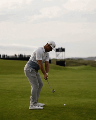 Wilsonstaff Garywoodland GIF by Wilson Golf - Find & Share on GIPHY