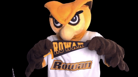 Ncaa Mascot GIF by Rowan University - Find & Share on GIPHY