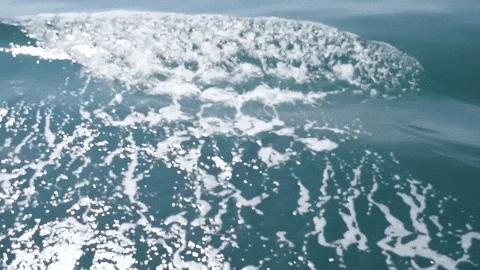 Water Mar GIF by jorgemariozuleta - Find & Share on GIPHY