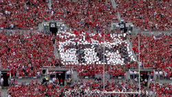 Ohio State Osu GIF by Ohio State Athletics - Find & Share on GIPHY