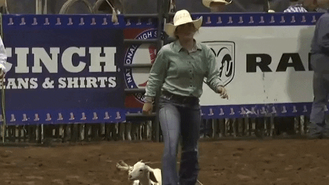 High School Celebration GIF by Professional Bull Riders (PBR) - Find ...