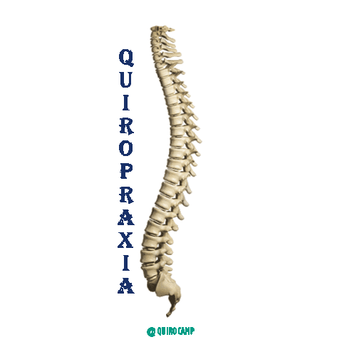 Coluna Sticker by quirocamp for iOS & Android | GIPHY