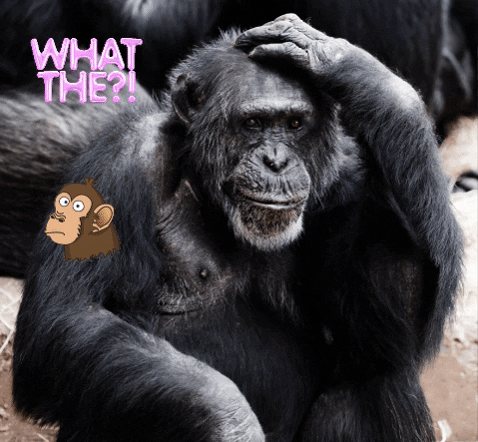 Monkey Wtf GIF by lexolino.de - Find & Share on GIPHY