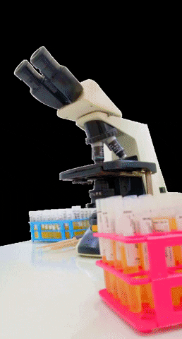 Fontana Laboratório Clínico GIF - Find & Share on GIPHY