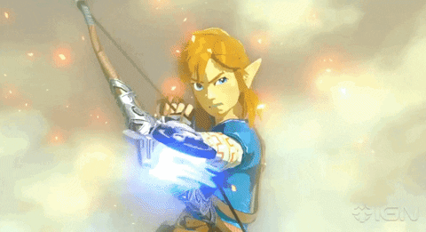 The Legend Of Zelda GIF - Find & Share on GIPHY
