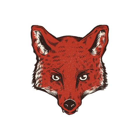 Fox Cr Sticker by Cledingraad for iOS & Android | GIPHY
