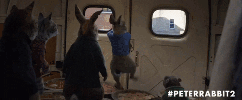 GIF by Peter Rabbit Movie - Find & Share on GIPHY