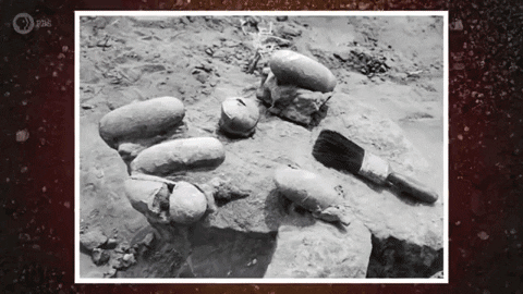 Dinosaur Eons GIF by PBS Digital Studios - Find & Share on GIPHY