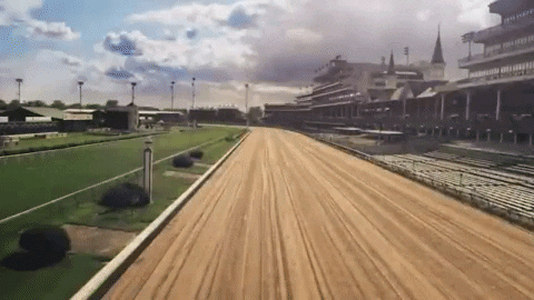 Horse Racing Sport GIF by Kentucky Derby - Find & Share on GIPHY