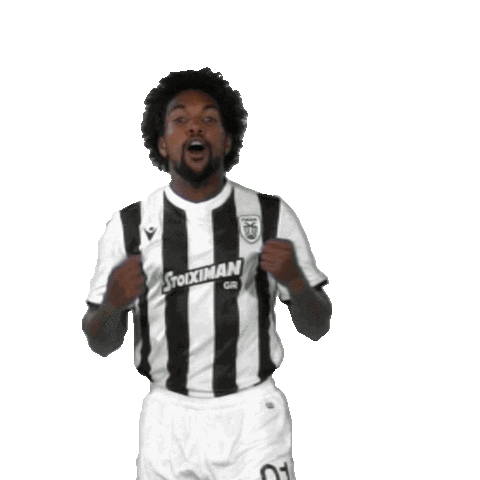 Football Paokfamily Sticker by PAOK FC for iOS & Android | GIPHY
