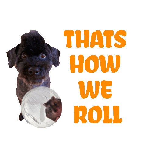 Thats How We Roll Dog Sticker for iOS & Android | GIPHY