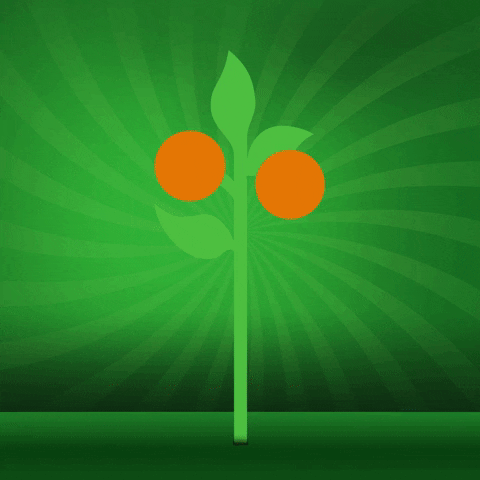 Orange Oops GIF by Bluna - Find & Share on GIPHY