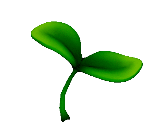 Dance Flower Sticker for iOS & Android | GIPHY