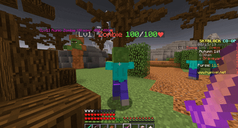 Guide - [GUIDE] List Of All Runes | Hypixel Forums