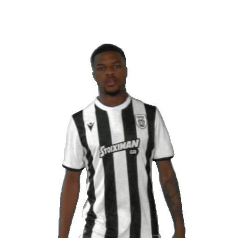 Football Paokfamily Sticker by PAOK FC for iOS & Android | GIPHY