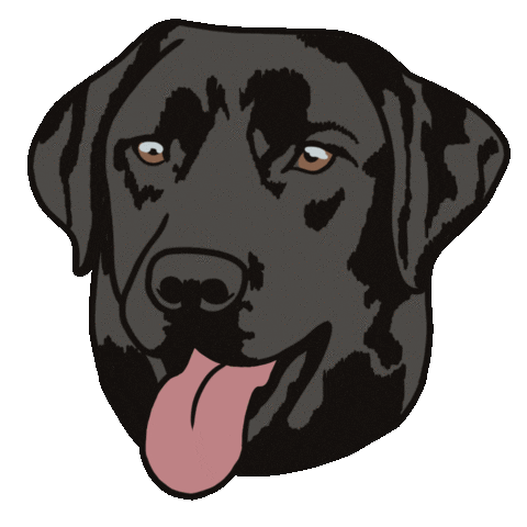 Black Lab Dog Sticker by the lifestyled co for iOS & Android | GIPHY