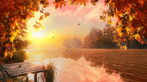 Fall Thanksgiving GIF - Find & Share on GIPHY