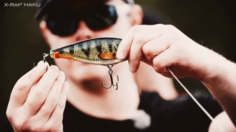 Rapala Xraphaku Fishing Lure GIF by Rapala - Find & Share on GIPHY