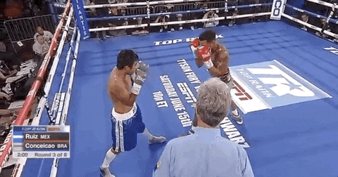Top Rank Boxing GIF - Find & Share on GIPHY