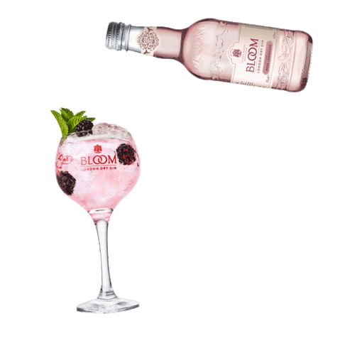 Gin And Tonic Festival Sticker by BLOOM Gin for iOS & Android | GIPHY