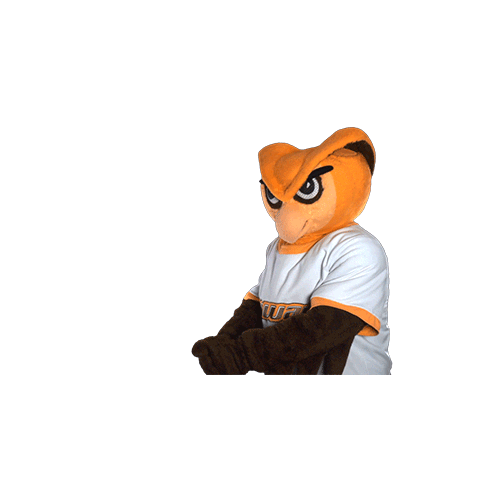Ncaa Mascot Sticker by Rowan University for iOS & Android | GIPHY