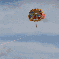 Parachute GIFs - Find & Share on GIPHY