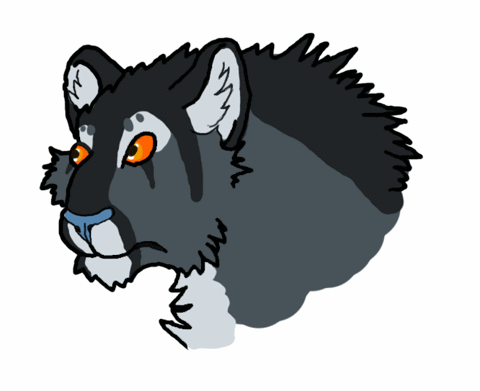 Shadowcat GIFs - Get the best GIF on GIPHY