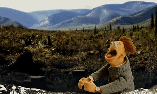Muppets GIF Find Share On GIPHY